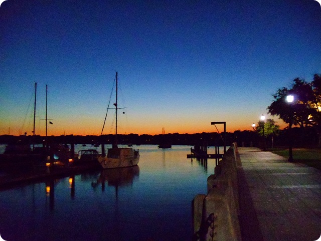 guest post: what I love about South Carolina | 320 * Sycamore